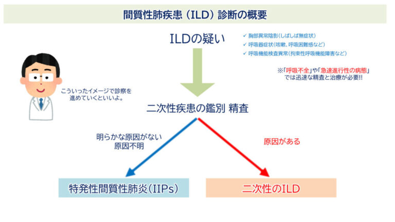 間質性肺疾患（ILD）の診断の流れ――膠原病ILDの注目すべき所見・症状と自己抗体とは？ | 呼吸器内科医のブログ LungDr Note