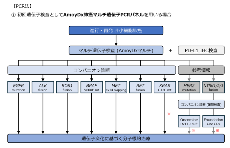 肺癌のバイオマーカー検査とマルチプレックス遺伝子検査とは？ | 呼吸器内科医のブログ LungDr Note