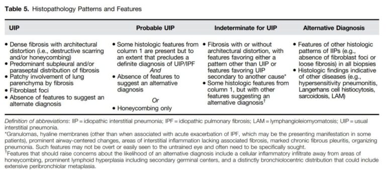 UIPにおける時間的および空間的な不均一性とは？ ―肺の病理・胸部HRCTの観点で解説― | 呼吸器内科医のブログ LungDr Note