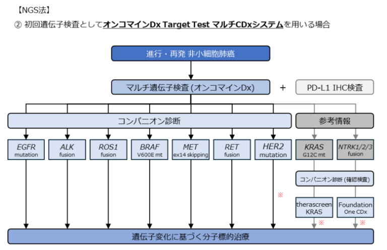 肺癌のバイオマーカー検査とマルチプレックス遺伝子検査とは？ | 呼吸器内科医のブログ LungDr Note