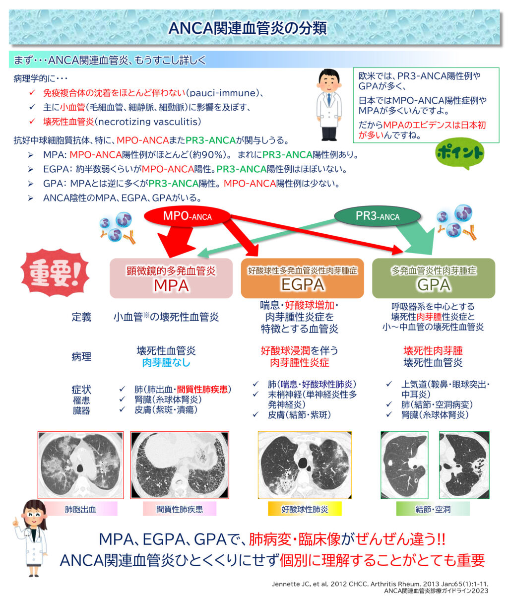 【必読】ANCA関連血管炎をひとまとめにしちゃいけないの!? 〜EGPA・GPA・MPAの違いと共通点〜＜リライト＞ | 呼吸器内科医のブログ LungDr Note