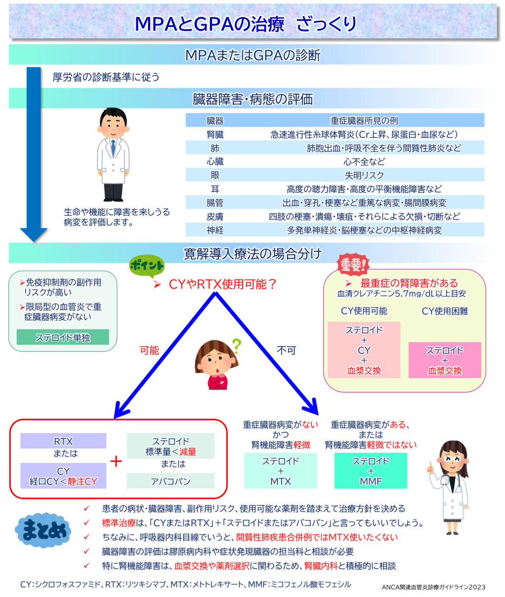 ANCA関連血管炎の「寛解導入治療」って？～MPAとGPAの基本をざっくり解説～ | 呼吸器内科医のブログ LungDr Note