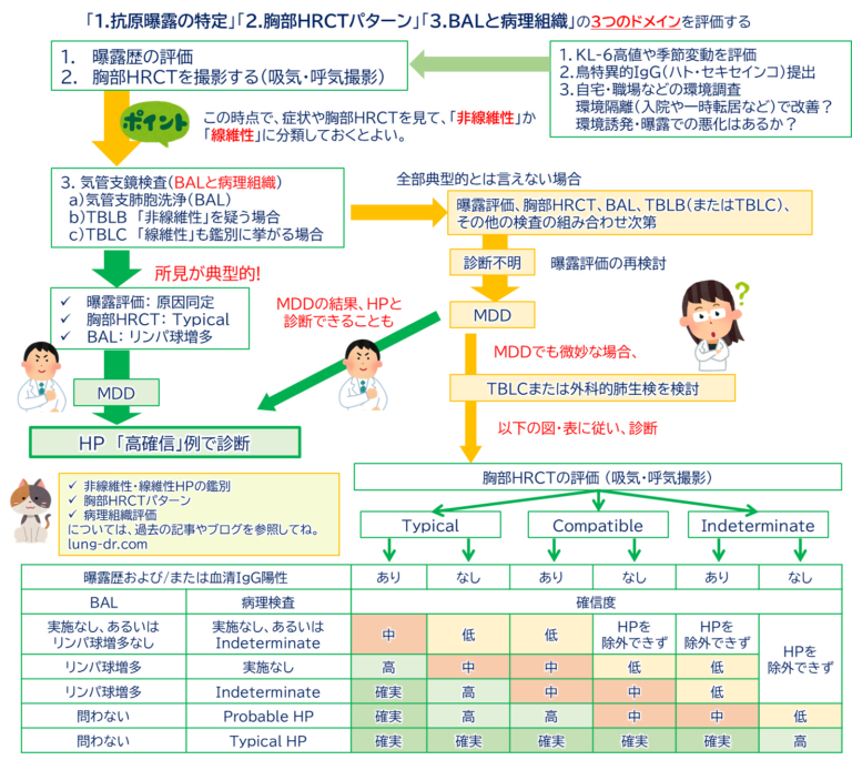 過敏性肺炎⑧～過敏性肺炎の診断アルゴリズム徹底解説―これで迷わないぞ | 呼吸器内科医のブログ LungDr Note