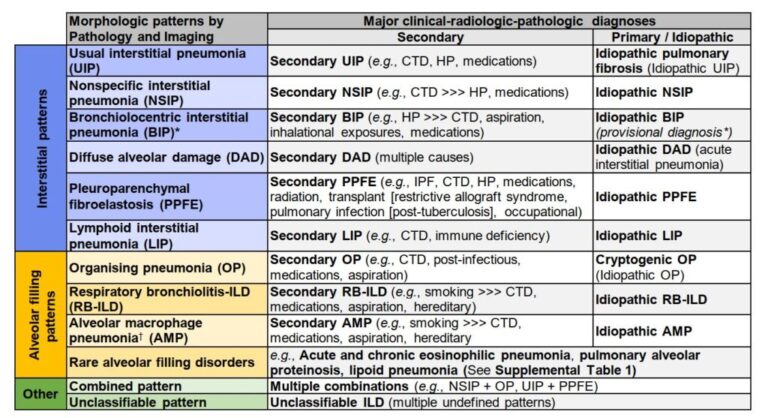 【新国際分類2025】間質性肺炎の新しい整理法 – 背景と全体像を押さえよう | 呼吸器内科医のブログ LungDr Note